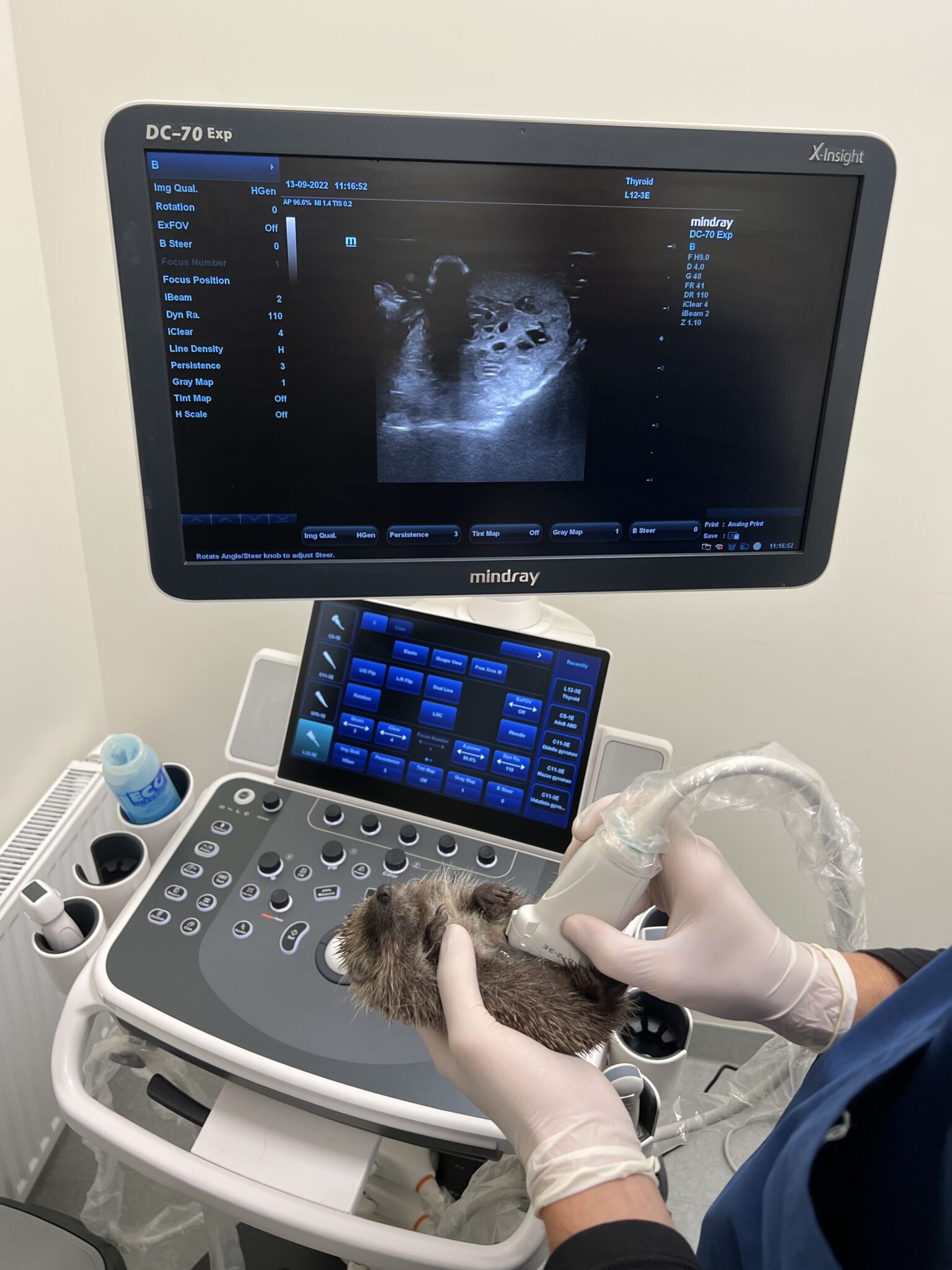 Gyvūnų rentgeno ir ultragarso tyrimai - Kauno Gyvūnų Gerovės Namai „Nojus“